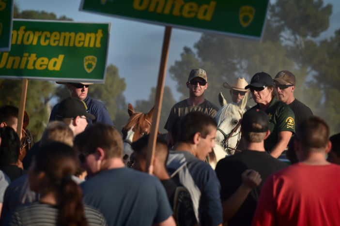 Preparing for the works: OCSD’s Mounted Enforcement Unit trains for ...