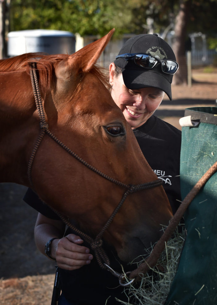 Preparing for the works: OCSD’s Mounted Enforcement Unit trains for ...