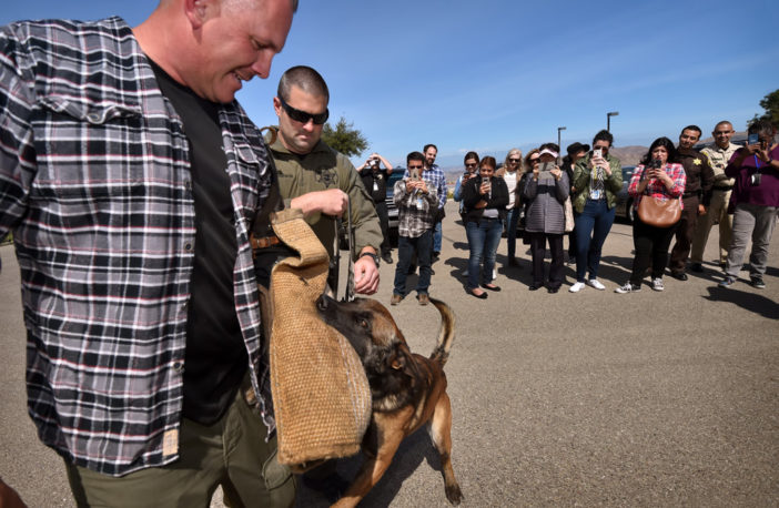 OCSD professional staff employees learn about all facets of agency ...