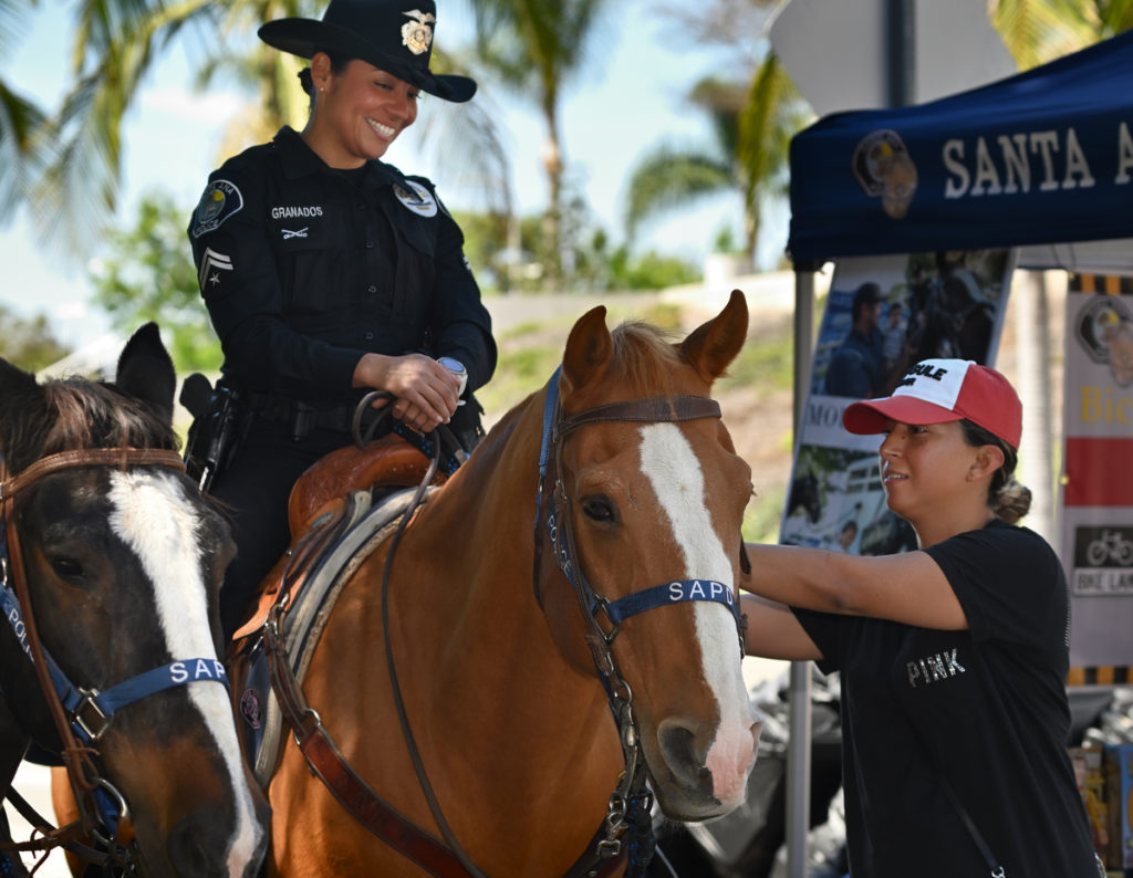 K9s, helicopters, and horse patrols: SAPD’s outreach informs community ...